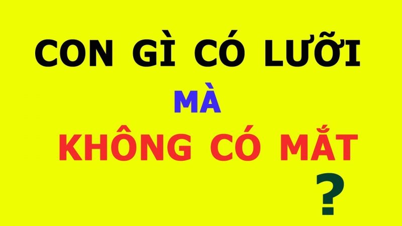 100 câu đố vui, đố mẹo hay có đáp án hay nhất năm 2022
